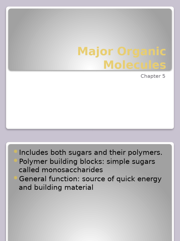 Major Organic Molecules[1] | PDF | Carbohydrates | Glucose