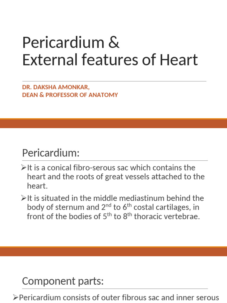 Pericardium & Exterior of Heart | PDF | Atrium (Heart) | Heart