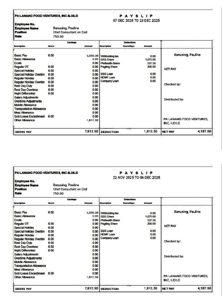 Chef Pauline Payslip | PDF