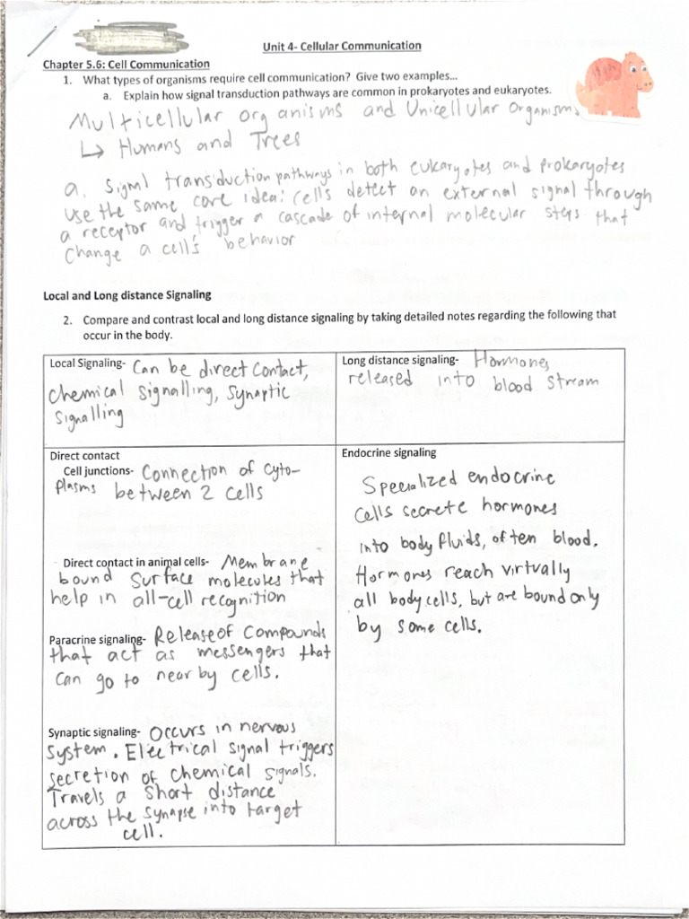 Unit 4- Cellular Communication | PDF