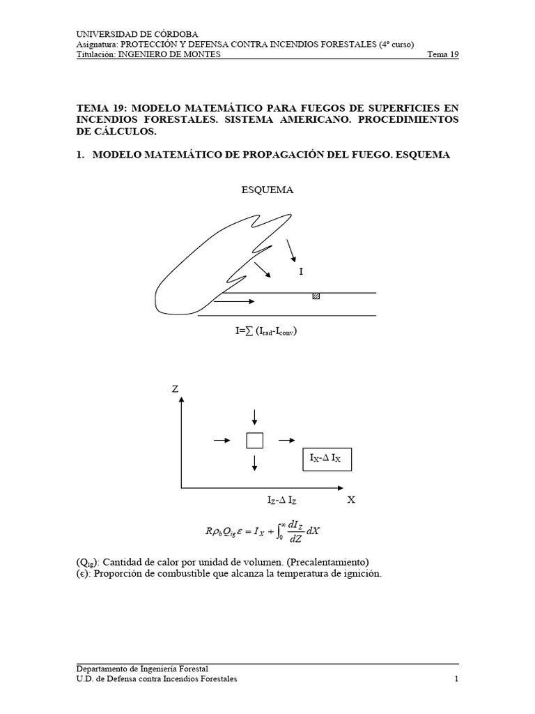 UCO_TEMA_19 | PDF | Combustión | Combustibles