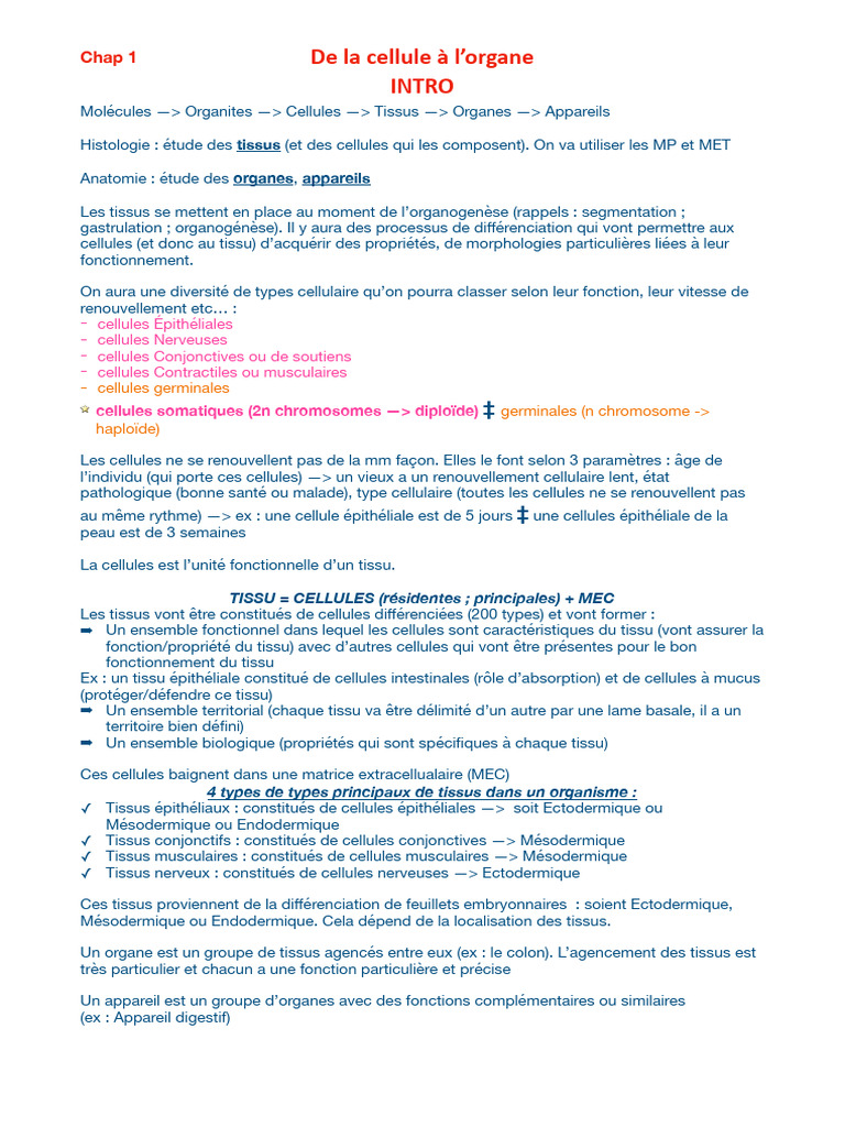De la cellule à l'organe : Histologie et anatomie | PDF | Épithélium ...