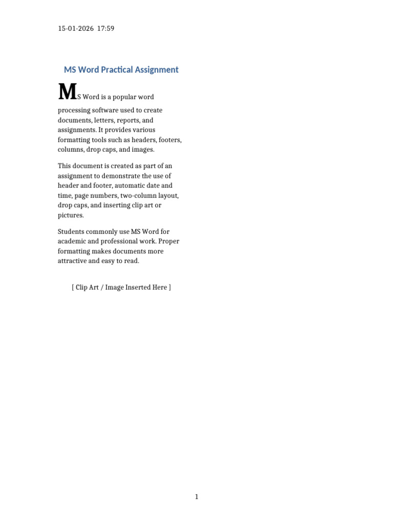 Ms Word Practical Complete | PDF