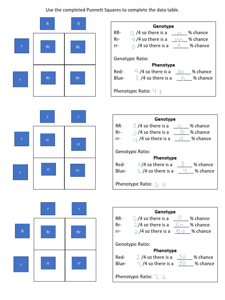 15.2+Analysing+a+Punnett+Square | PDF | Genotype | Dominance (Genetics)