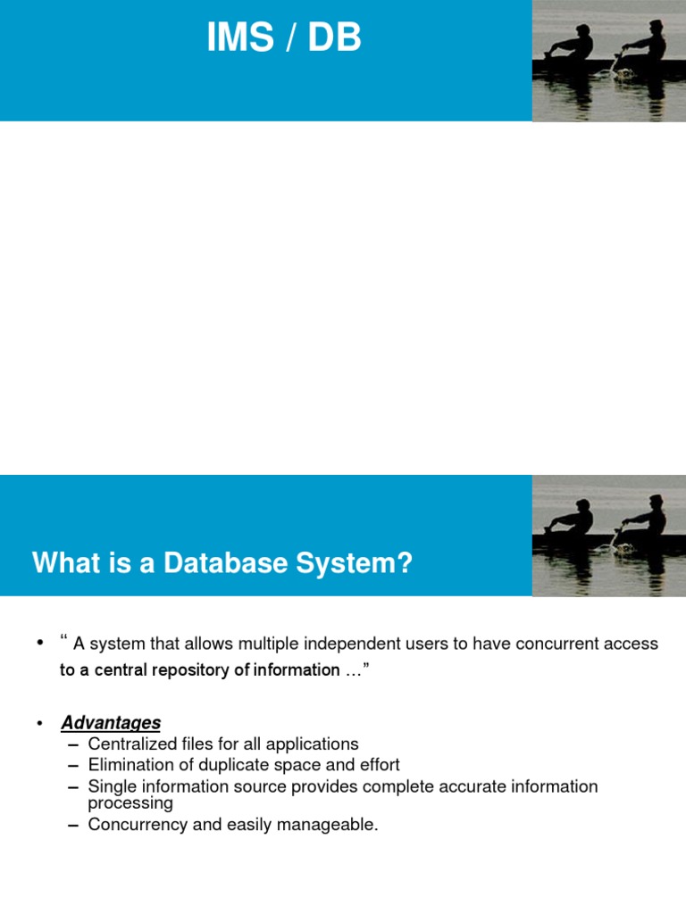 IMS Database System Overview | PDF | Database Index | Databases