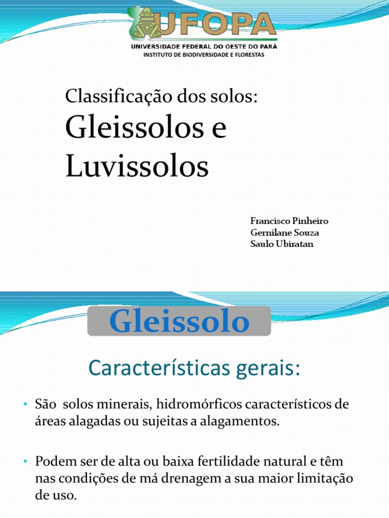 Características de Gleissolos e Luvissolos | PDF | Terreno | Solo