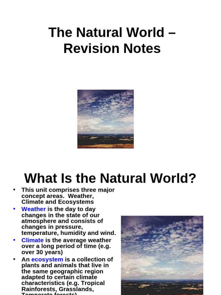 The Natural World û Revision Notes | PDF | Forests | Rain
