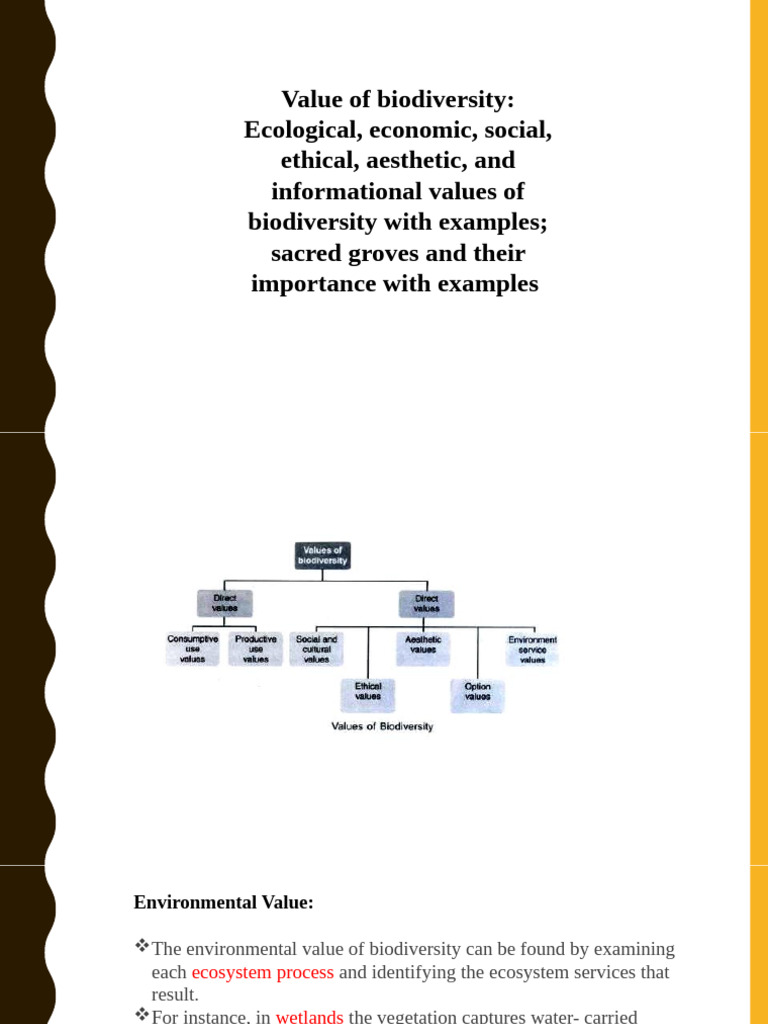 Value of Biodiversity | PDF | Ecosystem | Soil