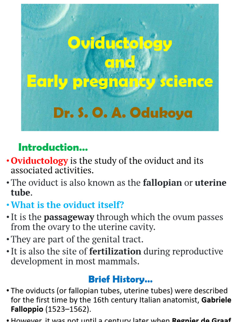 Oviductology and Early Pregnancy Science | PDF | Fertilisation | Anatomy
