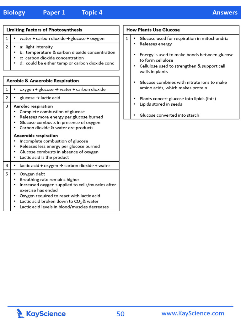 4 Bioenergetics MS | PDF