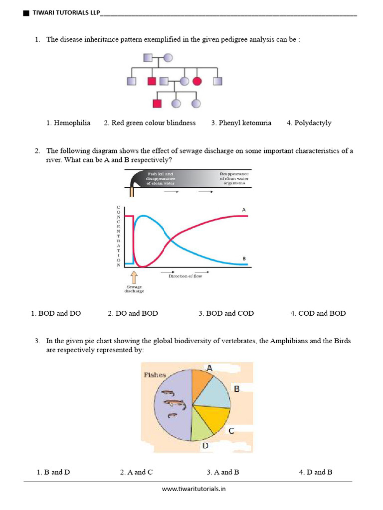 Diagram Based Questions | PDF | Dna | Hemoglobin