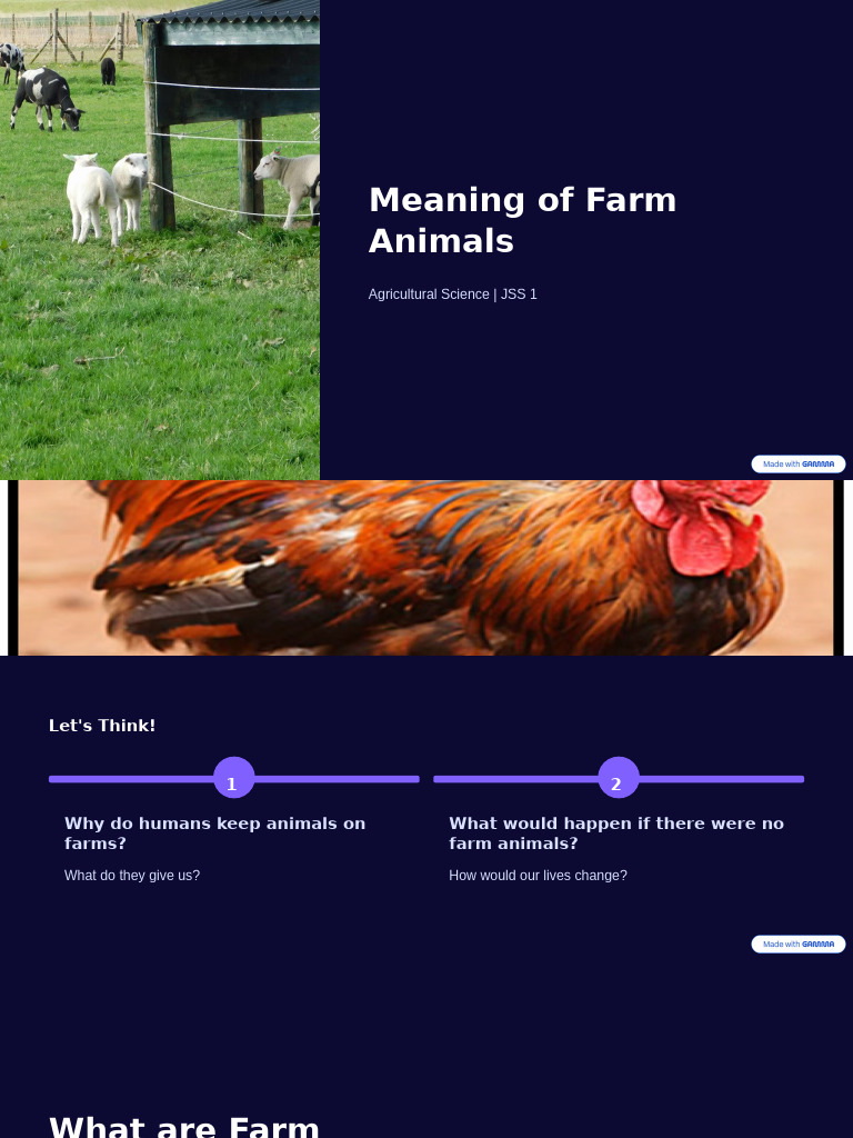 Meaning of Farm Animals (1) | PDF | Farms | Livestock