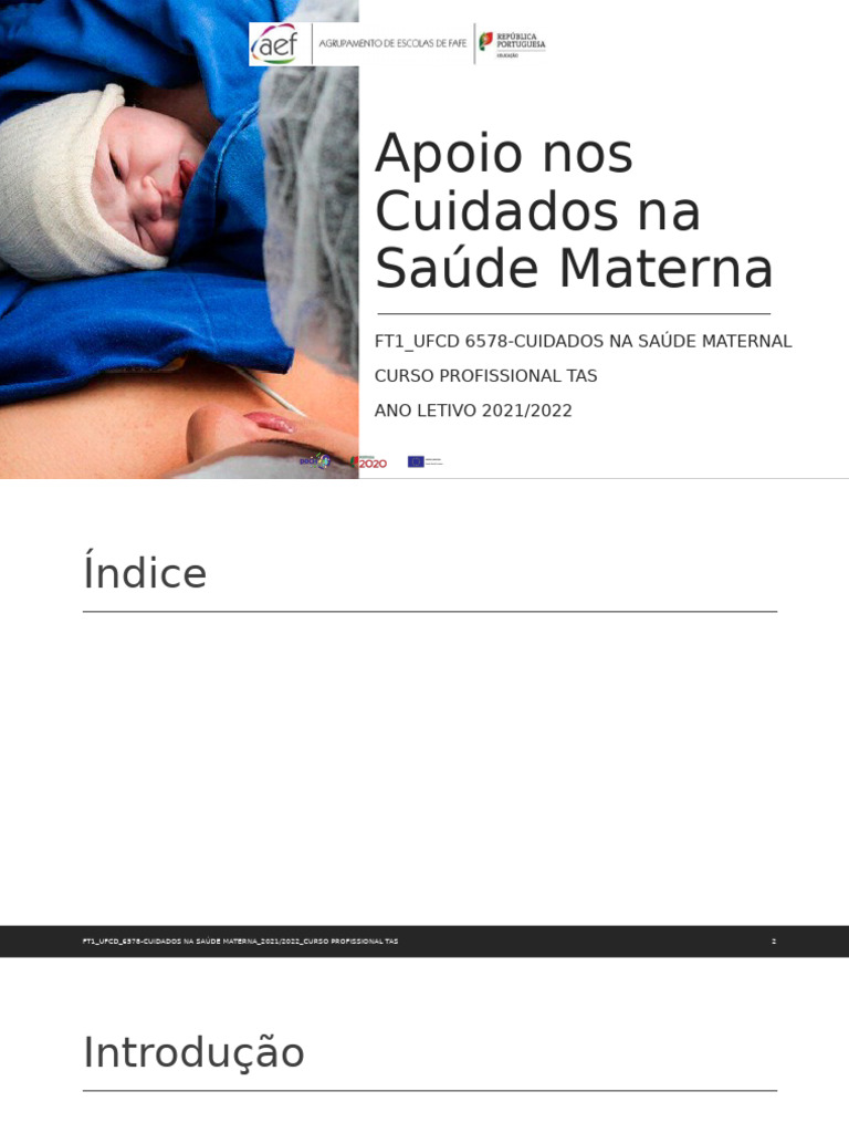 Apoio nos Cuidados na Saúde Materna | PDF | Gravidez | Parto