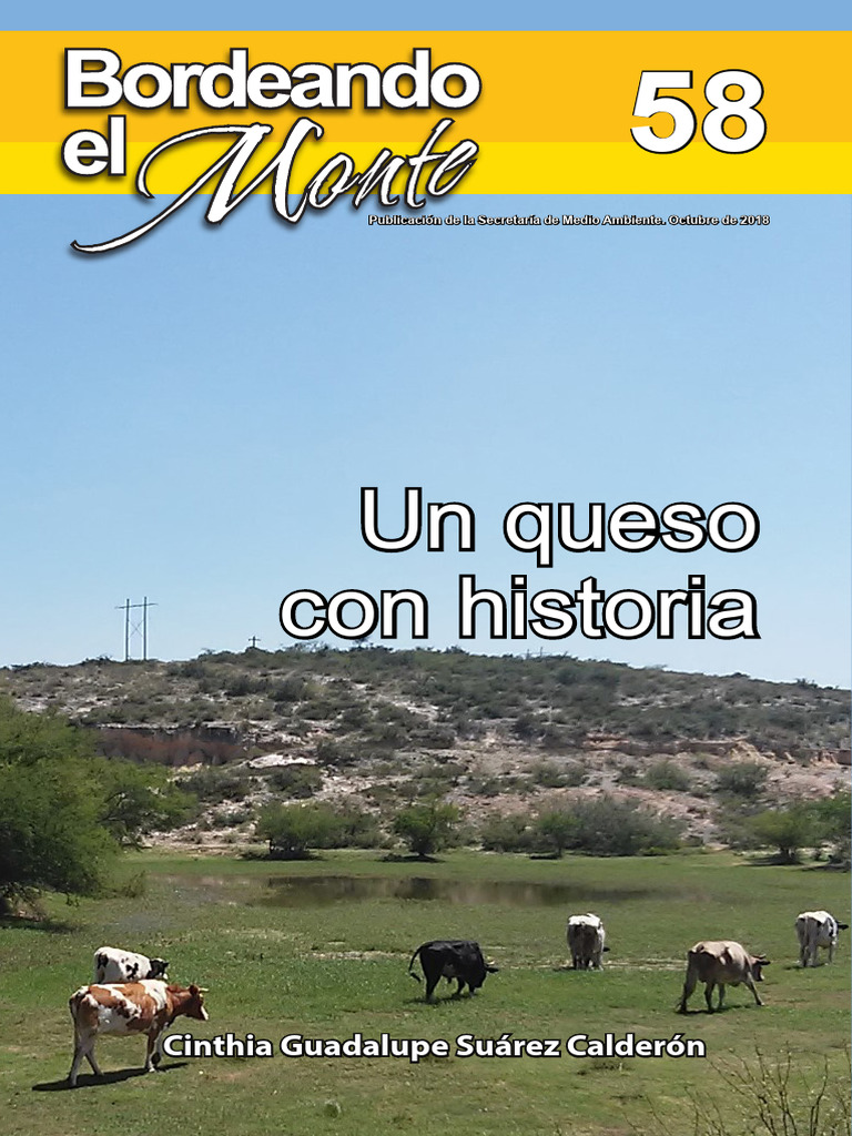 Bordeando_58 | PDF | Queso | Leche