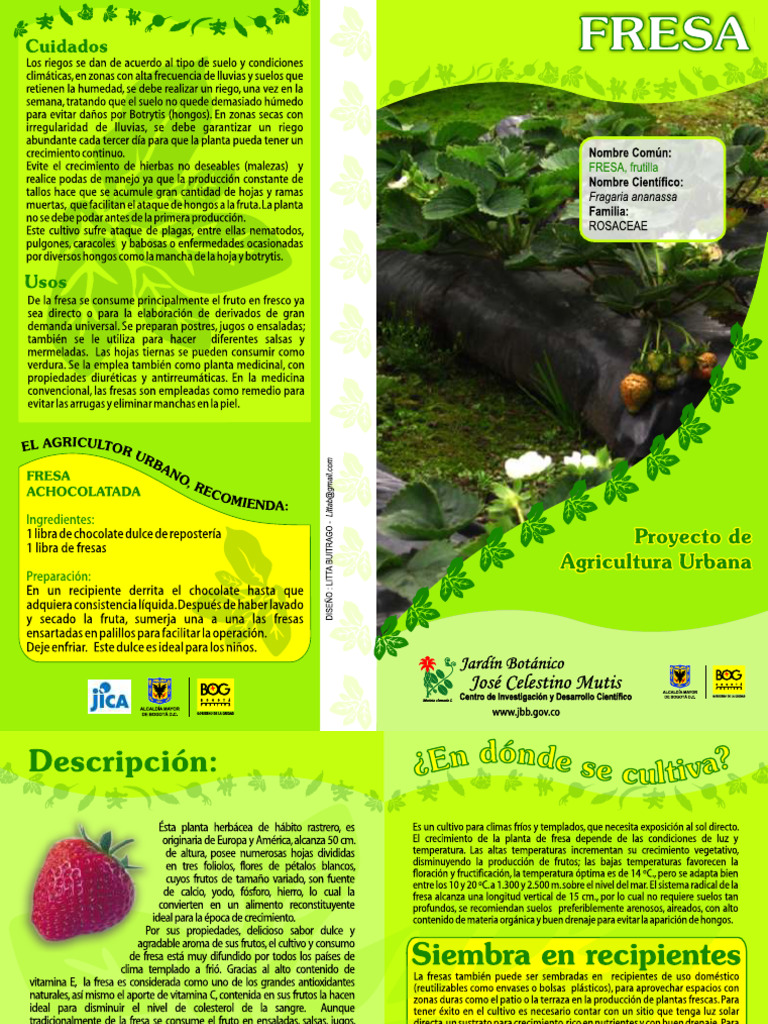 Fresa | PDF
