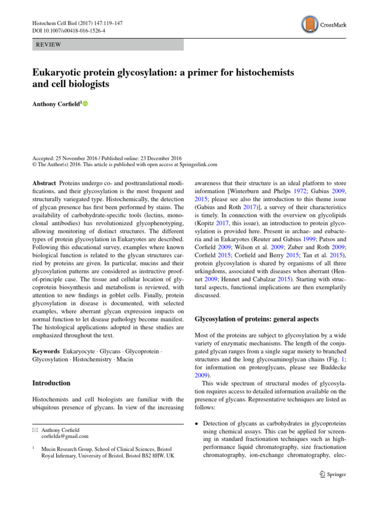 Glicosilación de Proteínas Eucariotas | PDF | Gastrointestinal Tract ...