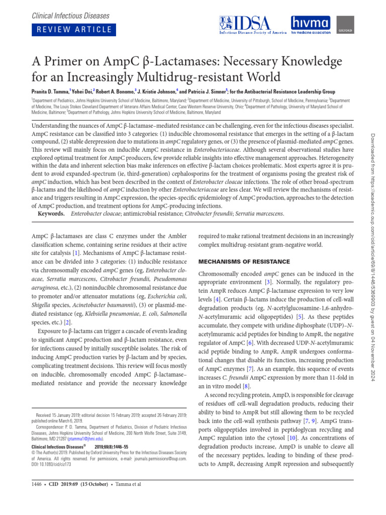 Understanding AmpC β-Lactamases | PDF | Beta Lactamase | Antibiotics