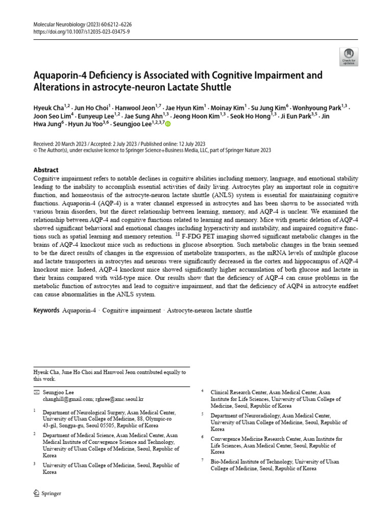 Ast-Neu Lactate Shuttle & Memory | PDF | Synapse | Astrocyte