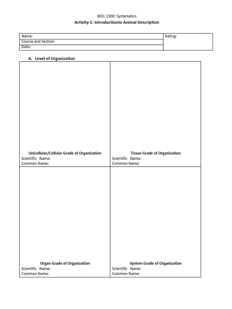 Animal Organization and Classification Guide | PDF