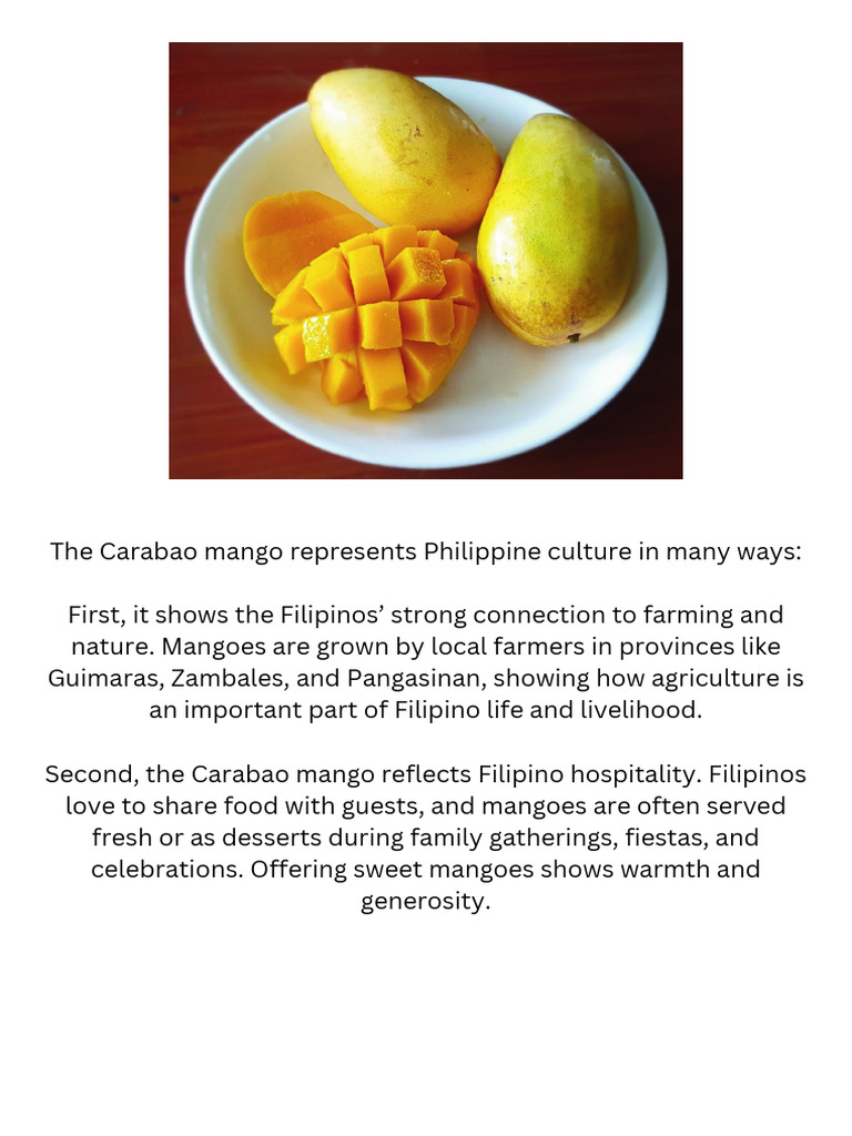 Your paragraph text_20251214_184837_0000 | PDF