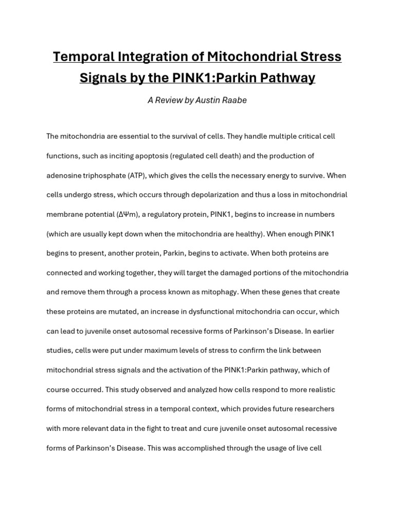 The Parkin Pathway | PDF | Mitochondrion | Apoptosis