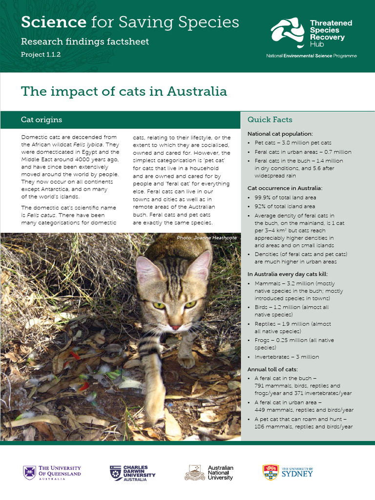 Impact of Domestic Cats in Australia | PDF | Cats | Predation