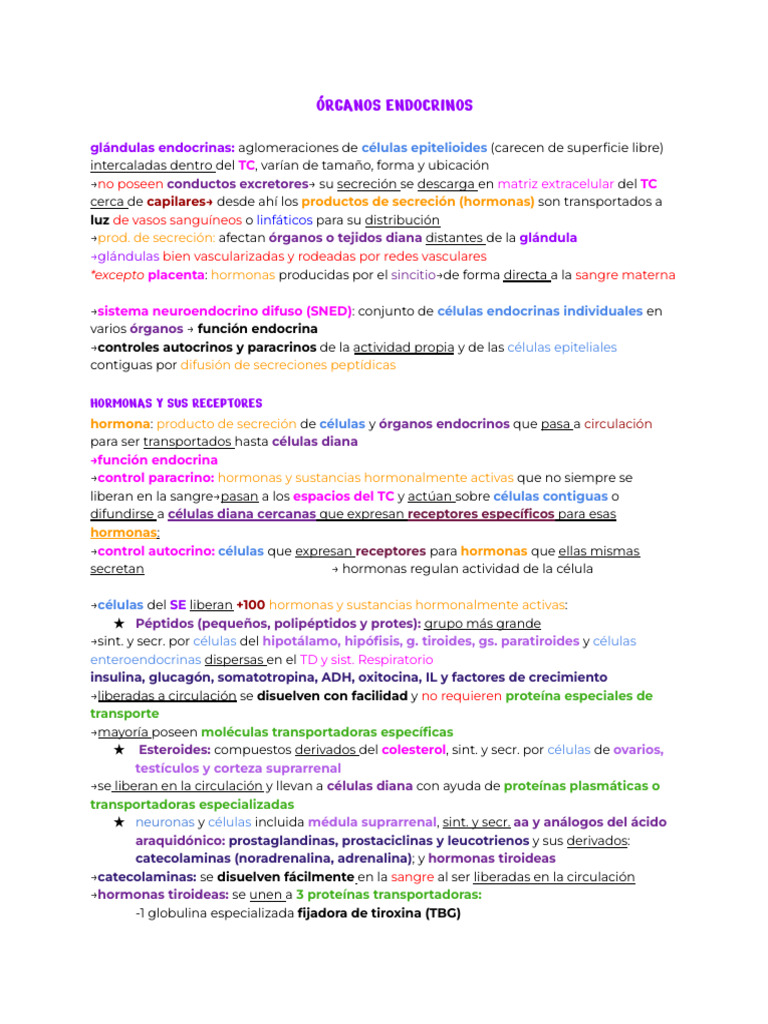 Funciones y Estructura de Órganos Endocrinos | PDF | Glándula ...