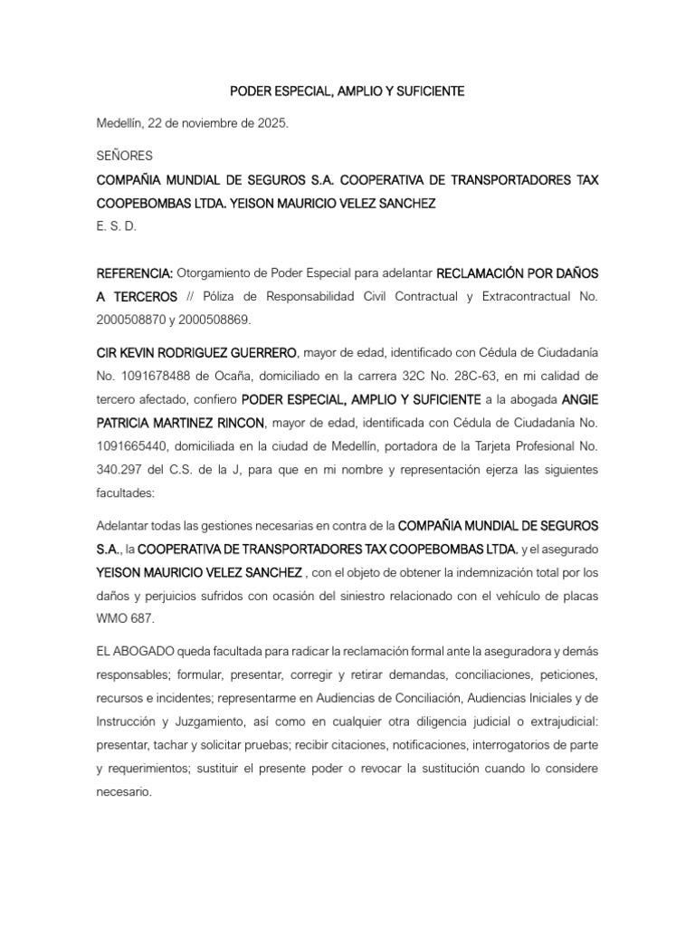 Poder Especial | PDF