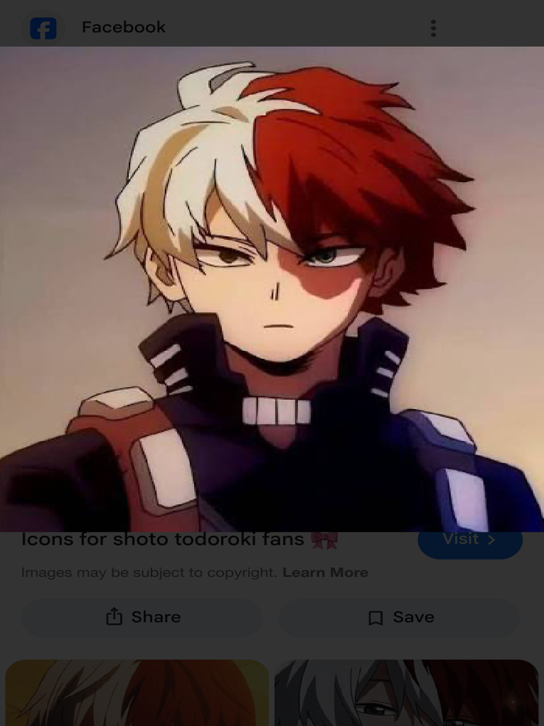 Todoroki Pfp - Google Search 2 | PDF