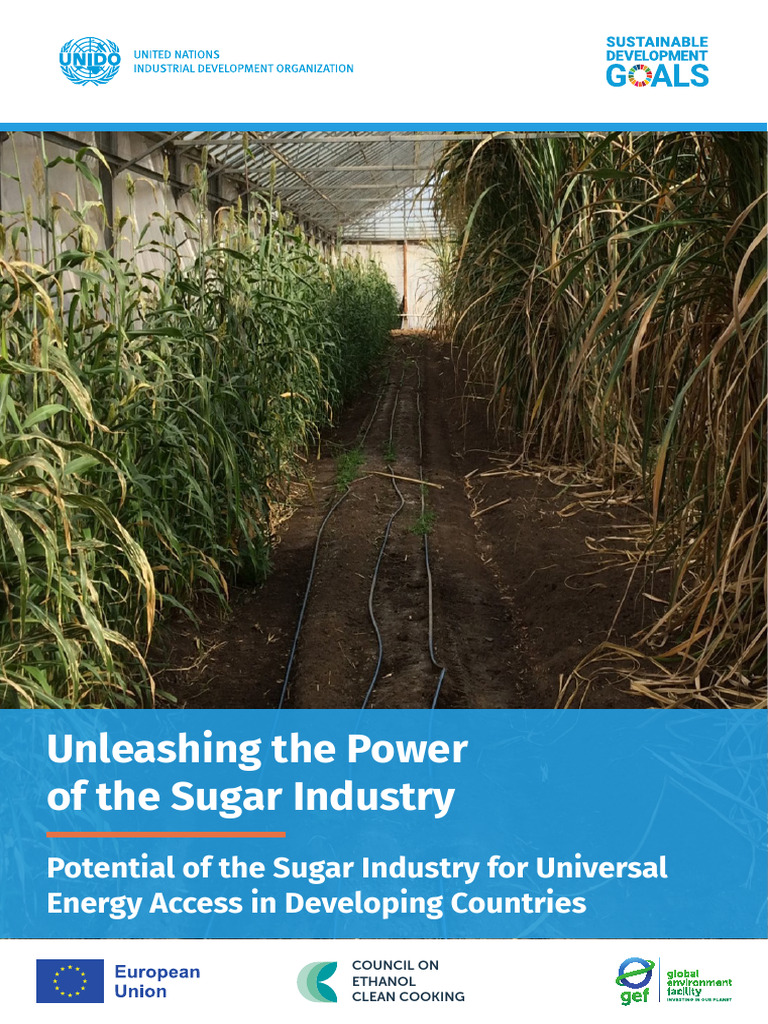 Unleashing The Power of The Sugar Industry Report | PDF | Sugarcane ...
