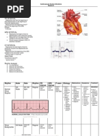 EKG Flash Cards | PDF | Cardiac Arrhythmia | Cardiovascular System