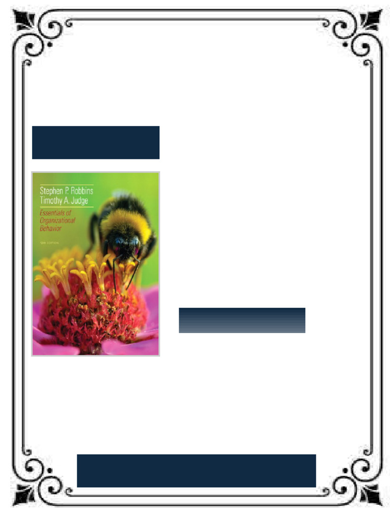 Essentials of Organizational Behavior 12th Edition Stephen P. Robbins ...
