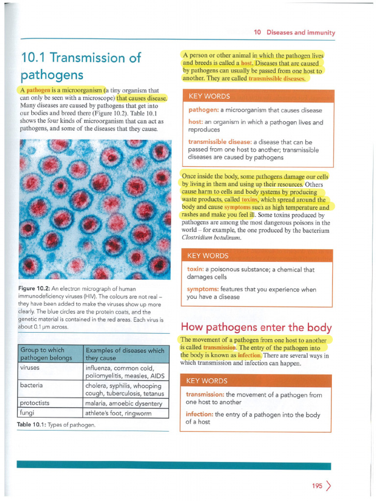 12Immunity Bio Book Came | PDF