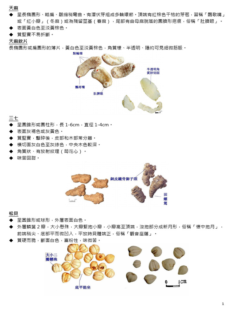 Certificate in Chinese Medicine Examination | PDF