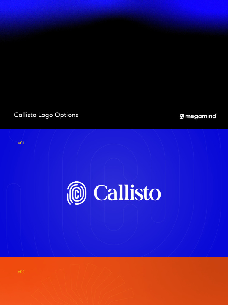 CALLISTO Logo Options | PDF