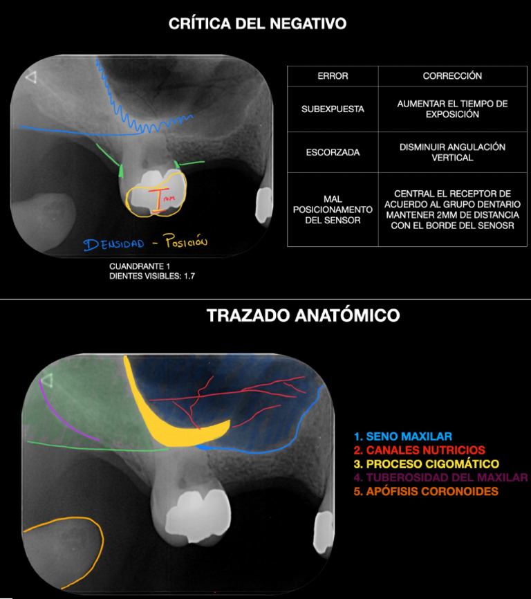 Ejemplo Tarea (1) | PDF