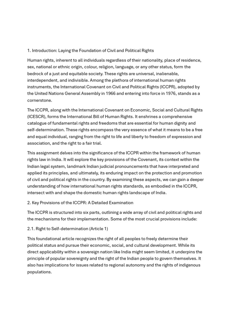 Human Right Law Assignment | PDF | Human Rights | Civil And Political ...