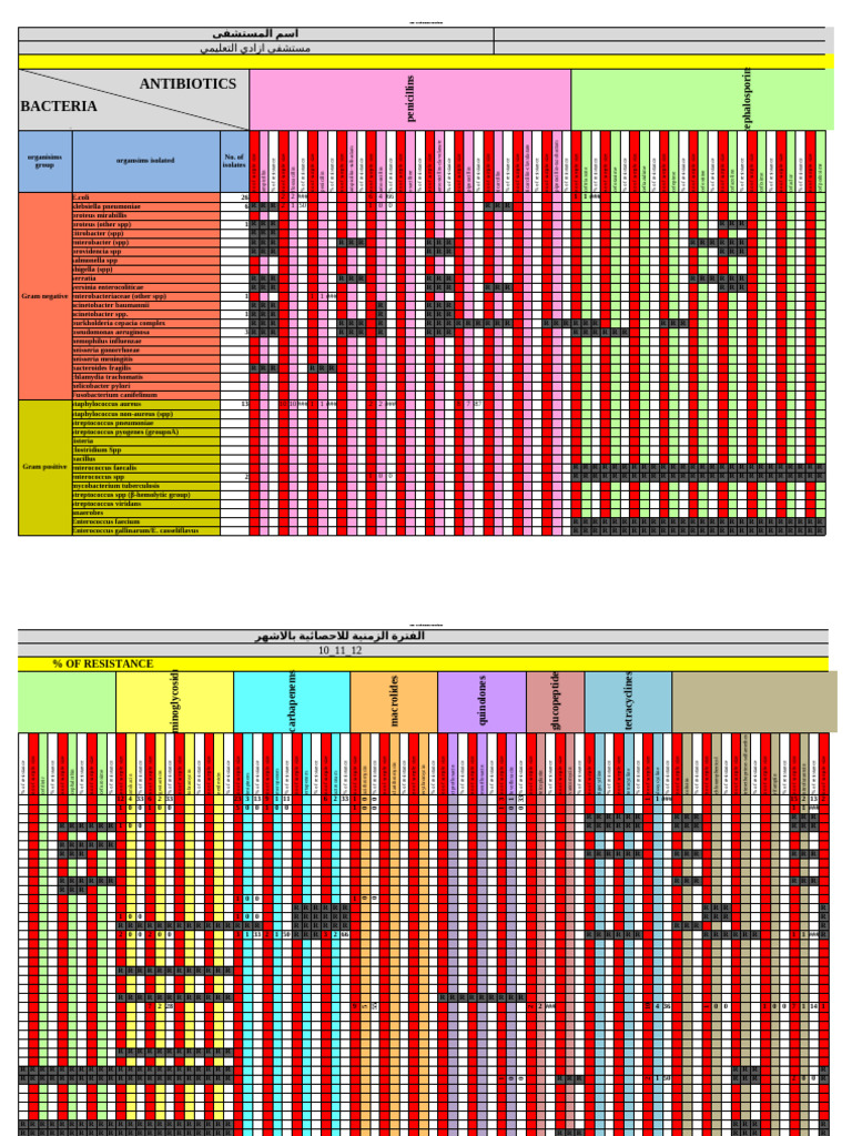 Antibiogram 2022 - 4th - Azadi | PDF | Gram Negative Bacteria | Bacteria