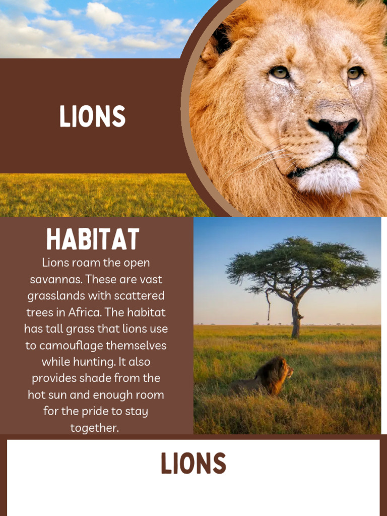 Exploring Different Types of Habitats Presentation in Brown ...