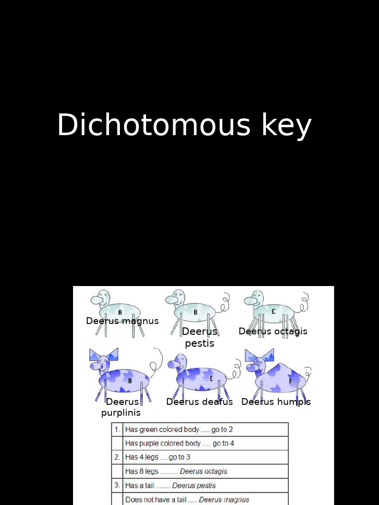 Dichotomous Key Practice | PDF