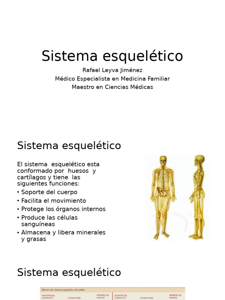 Sistema Esquelético y Muscular | PDF | Esqueleto | Hueso