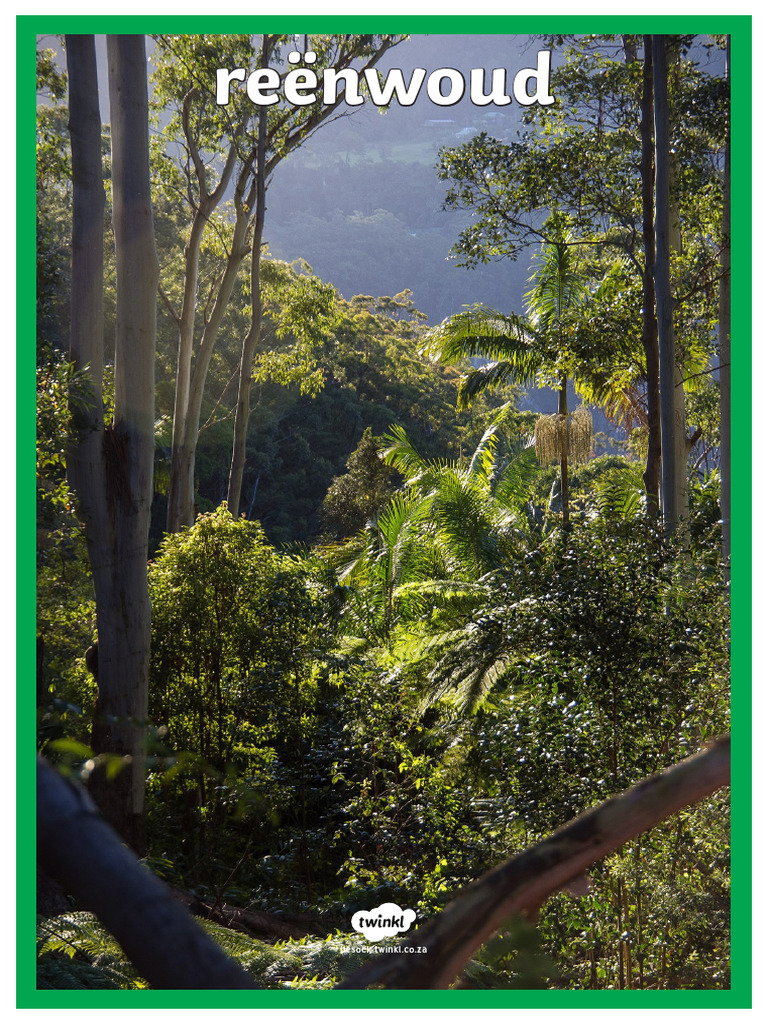 Za NST 129 Diere Habitatte Vertoon Prente Ver 1 | PDF