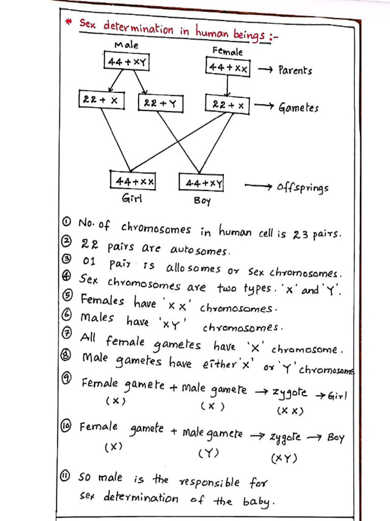 Bio imp | PDF