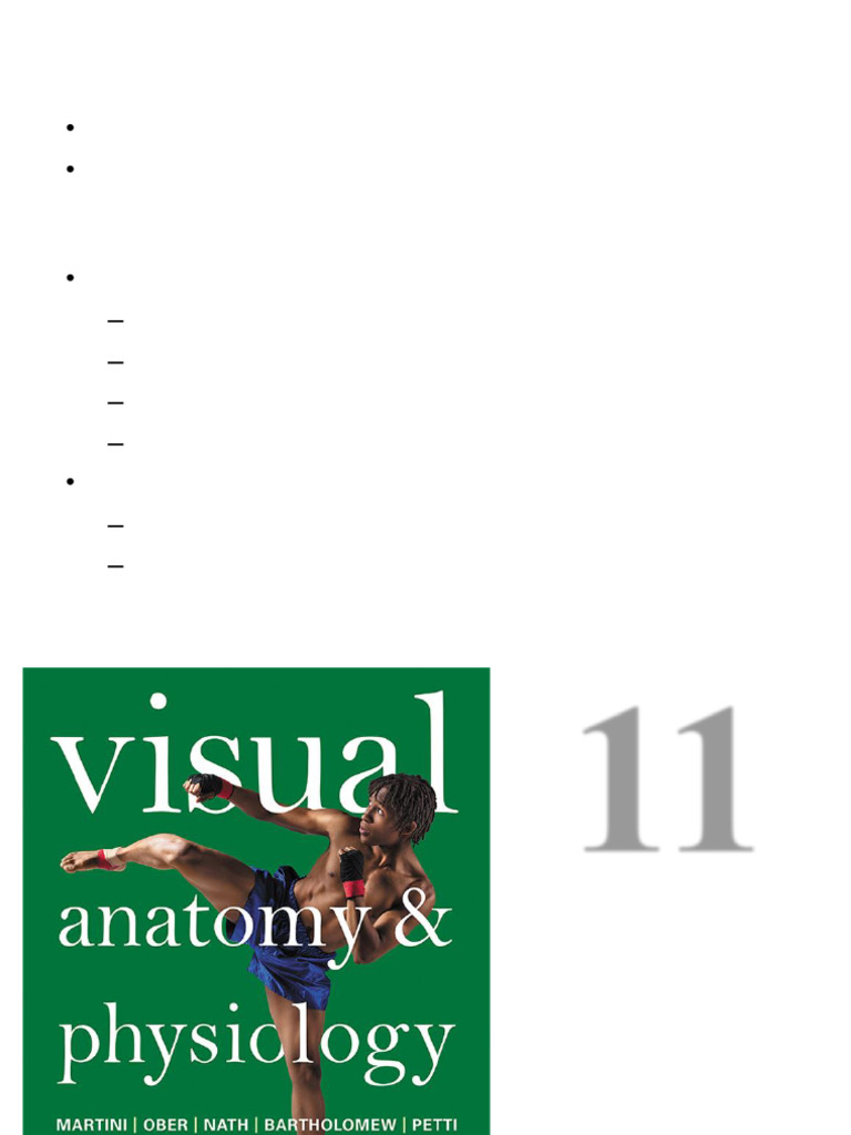 Nervous and Muscular System Overview | PDF | Chemical Synapse ...