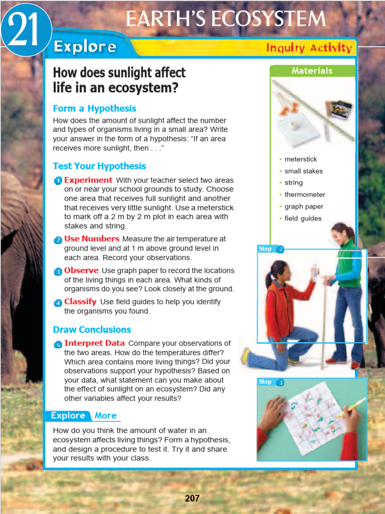 Sunlight's Impact on Ecosystem Life | PDF | Ecosystem | Nitrogen