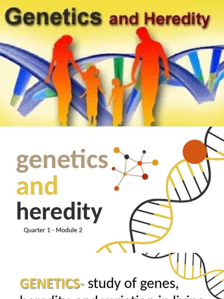 Understanding Genetics and Heredity | PDF | Allele | Genotype
