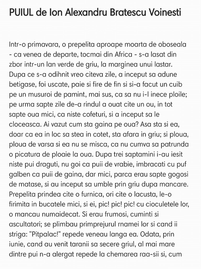 Puiul | PDF