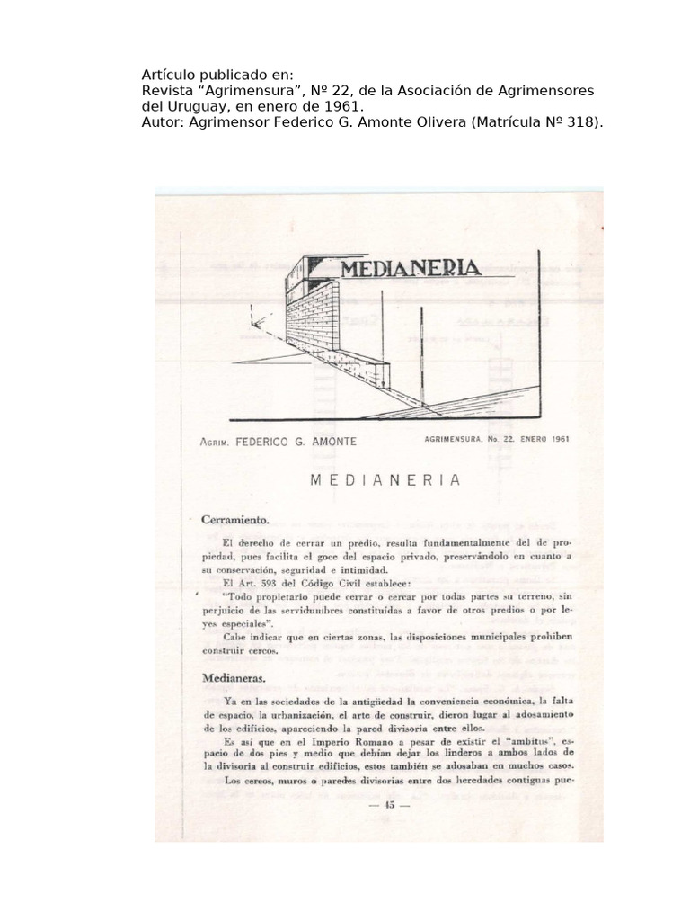 Medianeras - Agrim Federico Amonte | PDF