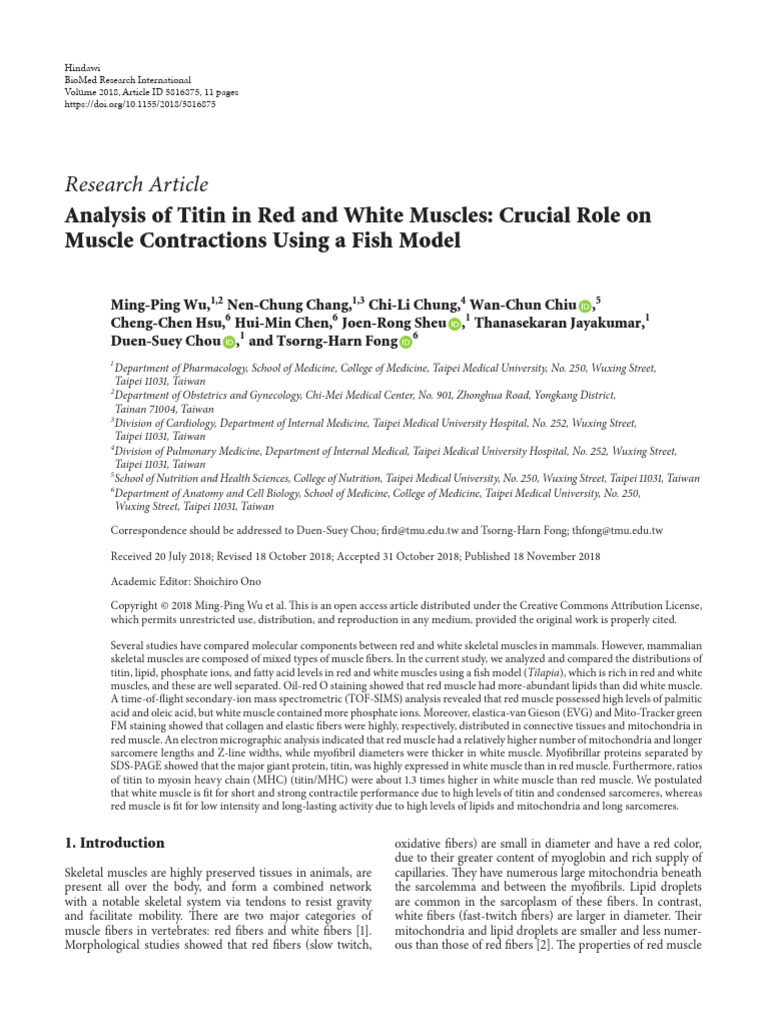 Analysis_of_Titin_in_Red_and_White_Muscles_Crucial | PDF | Skeletal Muscle