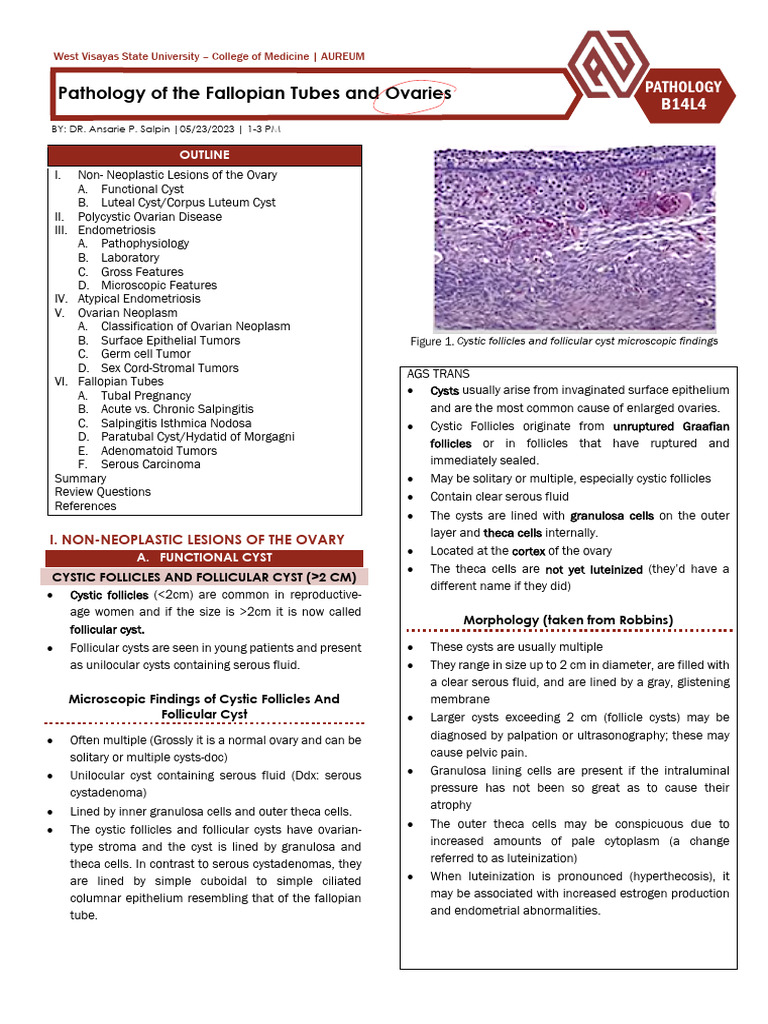 Fallopian Tubes and Ovarian Pathology Guide | PDF | Ovary | Ovarian Cancer